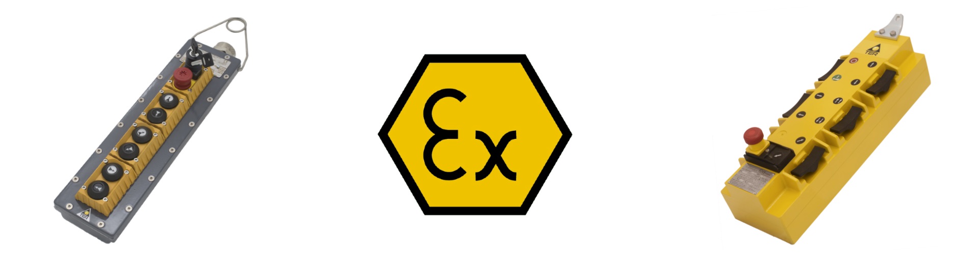 Pendant Control Stations from TER. For sale in our webshop!